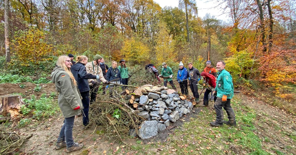 Freiwillige Helfer im Einsatz für den Wald – Lob für gute ...